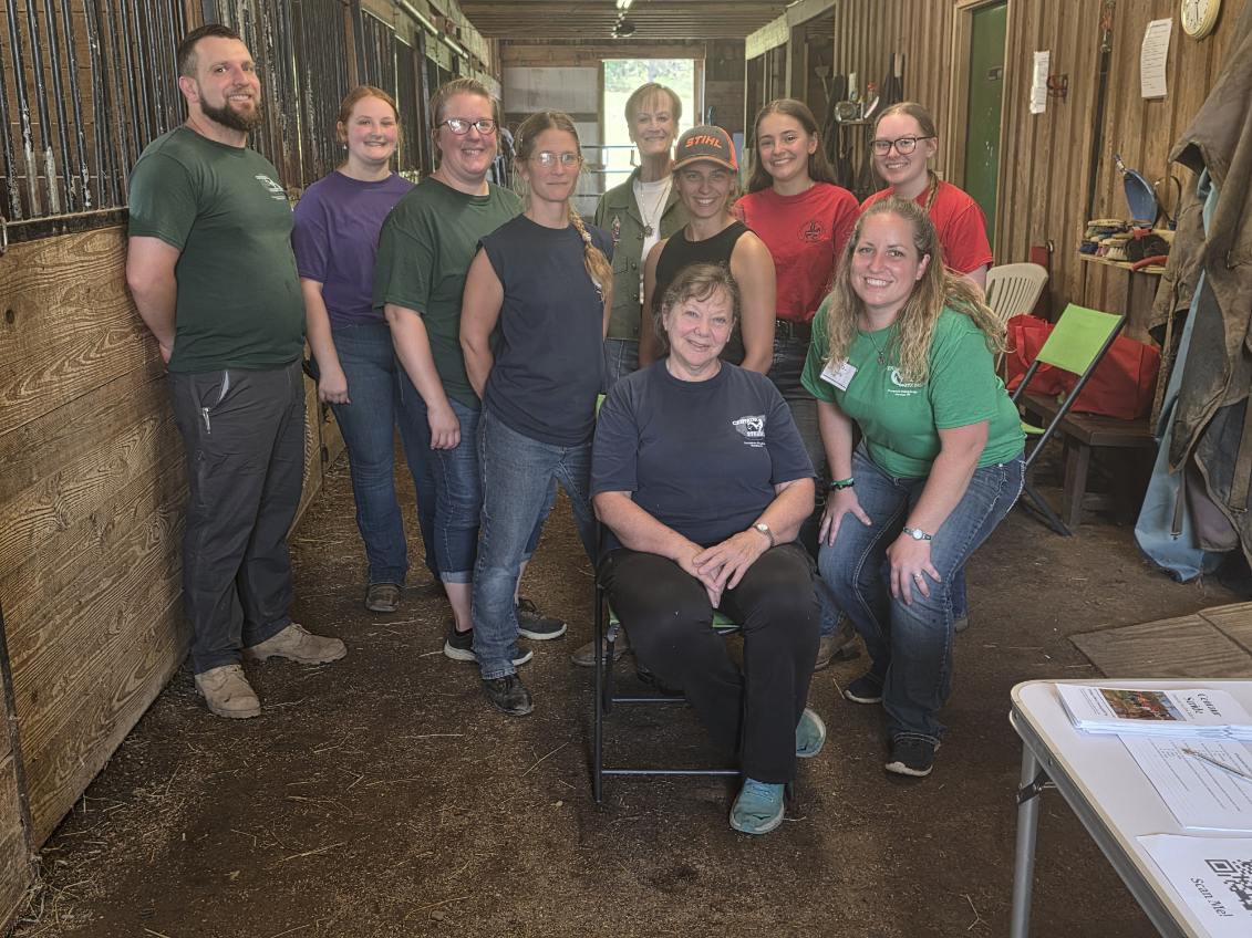 Healing with Horses: Giving, team effort keeps Centaur Stride going ...